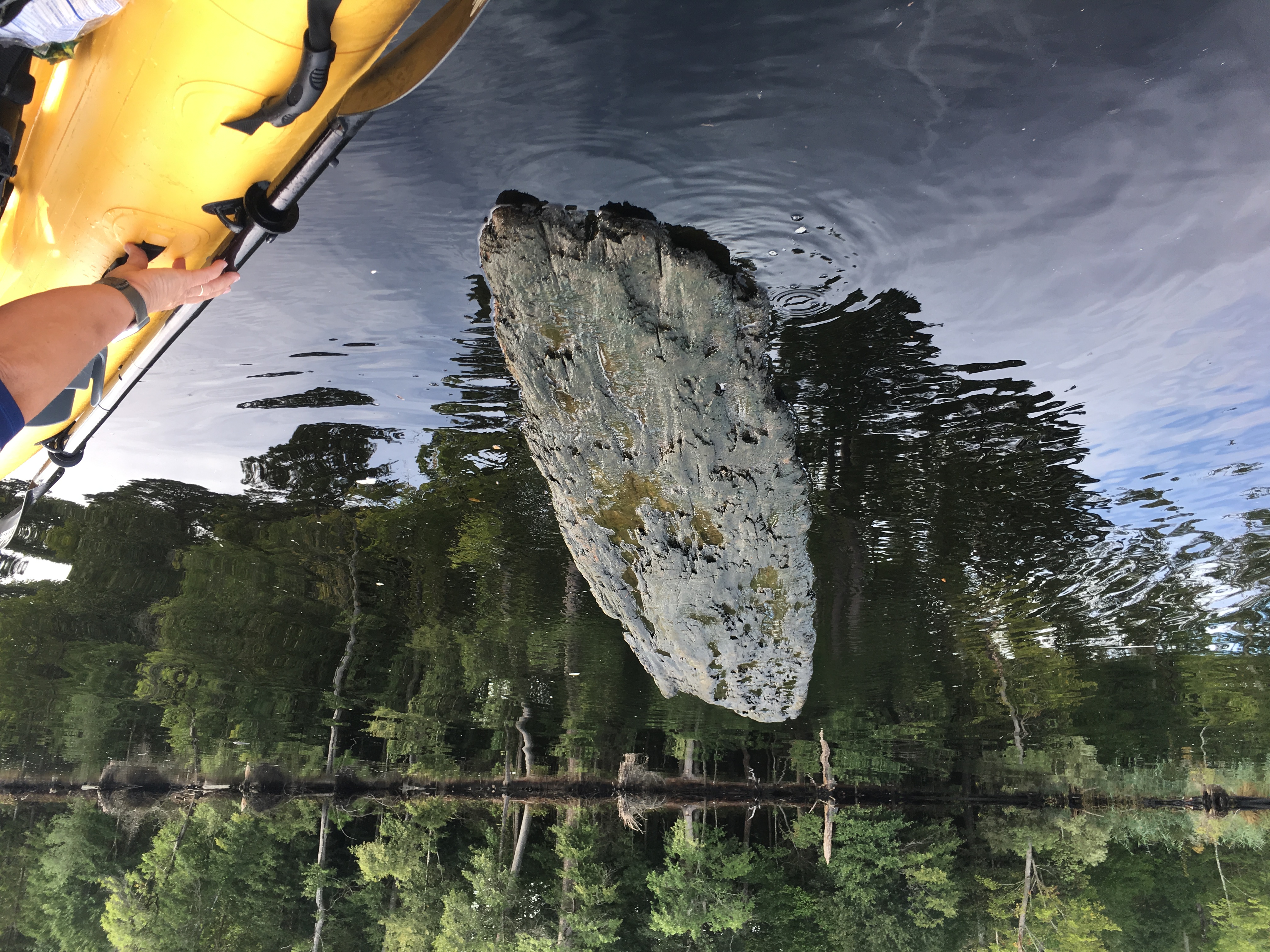 Img 2179 Our Next Horizon